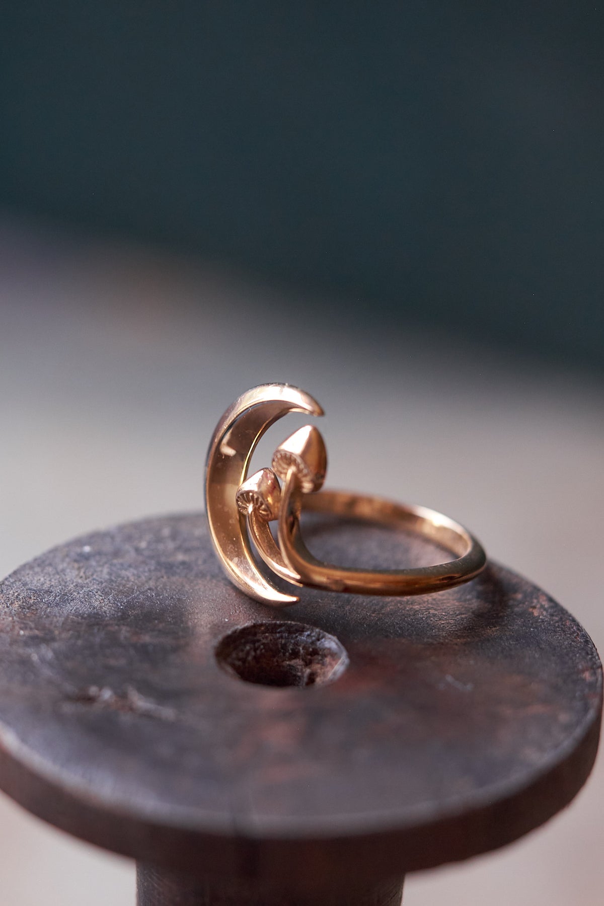 Adjustable Bronze Magic Mushroom & Moon Ring
